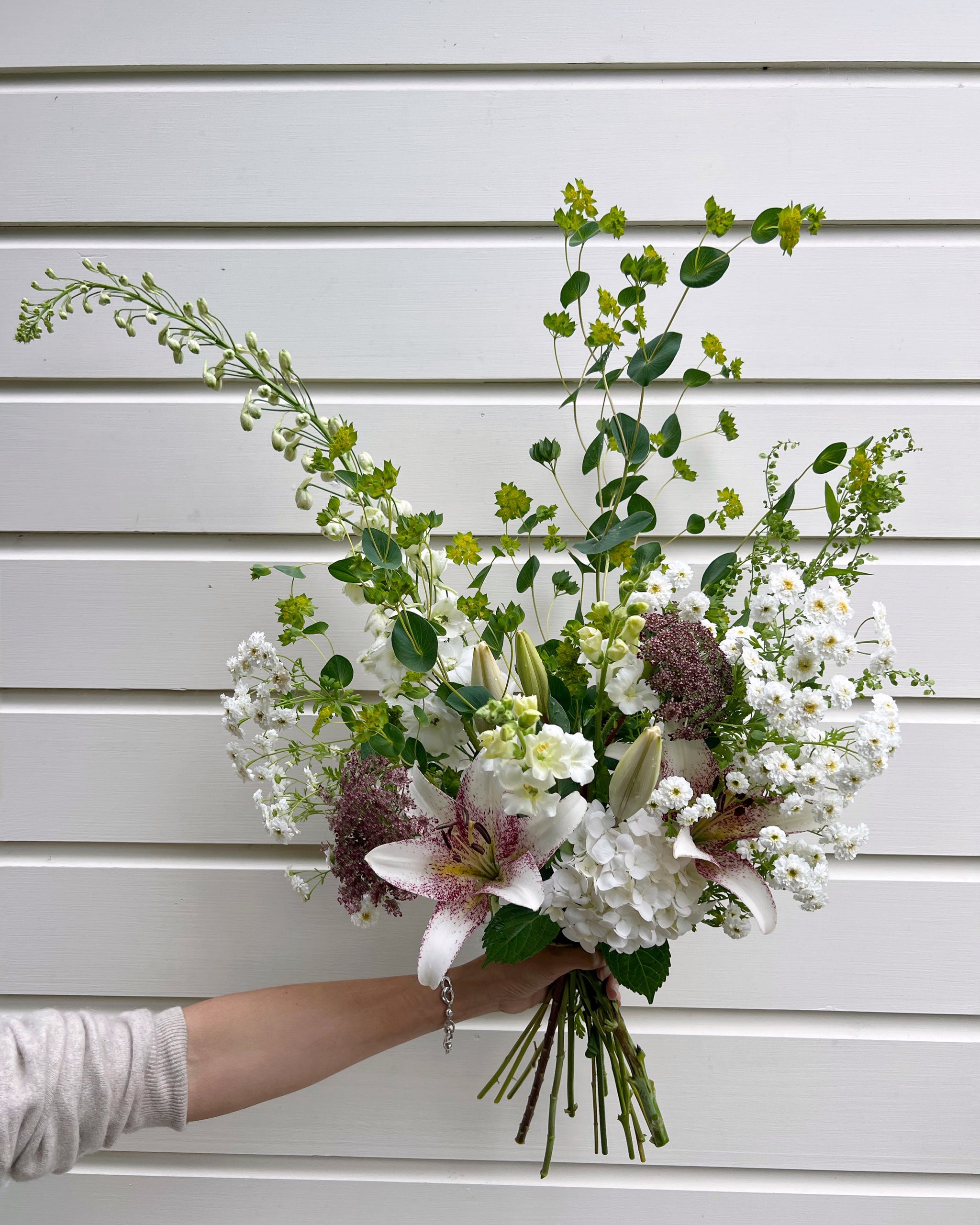 Cut Flower Bupleurum Griffithi Seedling Pack